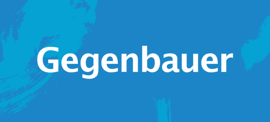 Unsere Arbeit für Gegenbauer - PANORAMA3000